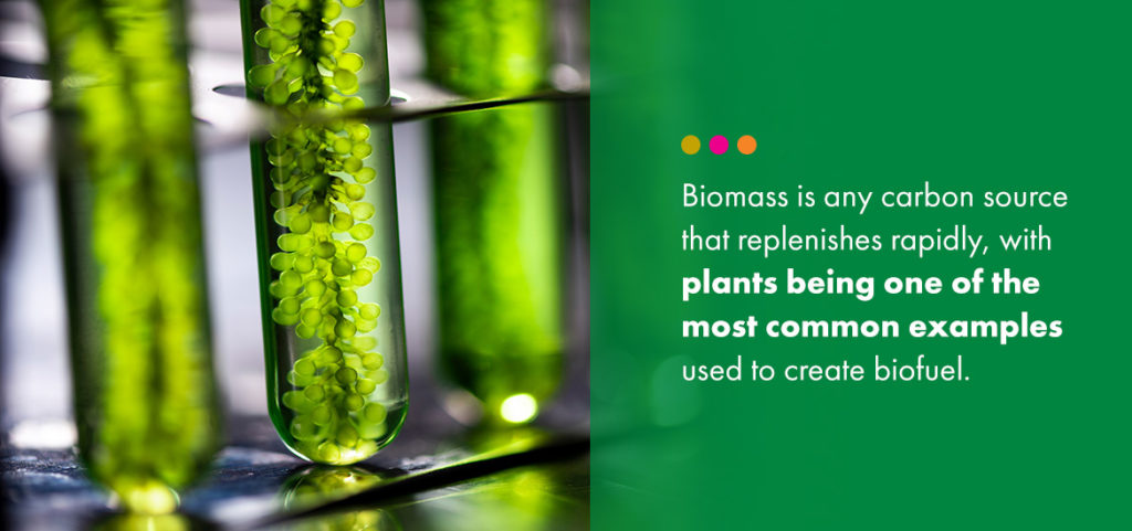 Everything to Know About Biofuels | Baker Commodities