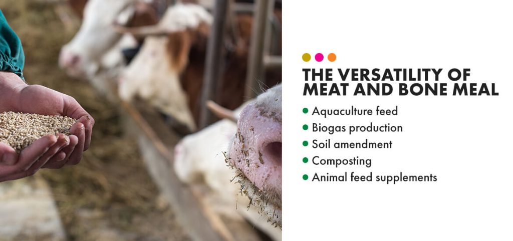 What Is Meat and Bone Meal?